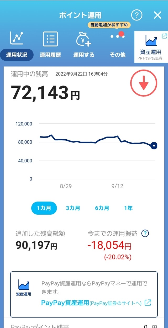 ワイのPaypayポイント運用、とんでとないことになるwwww | FX2ちゃんねる｜投資系まとめ